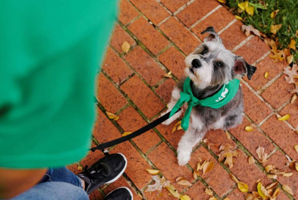 Menlo Ventures | Early-Stage Consumer Venture Capital Firm